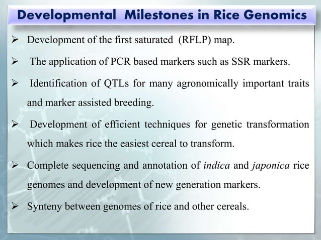 Credit seminar on rice genomics crrected | PPTX
