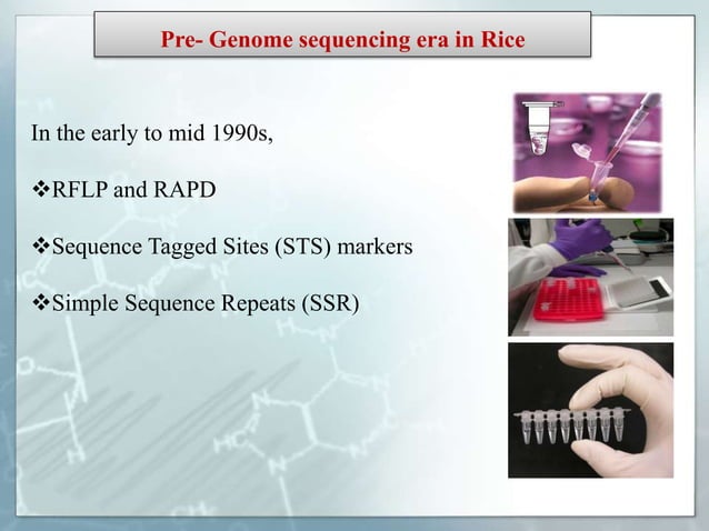 Credit seminar on rice genomics crrected | PPTX