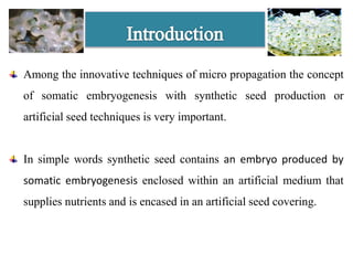credit seminar on synthetic seed.pptx