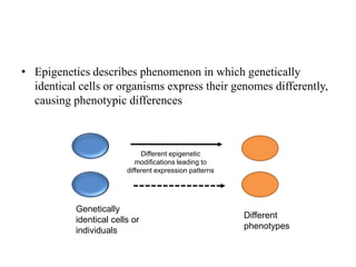 Epigenetics and it's relevance in crop improvement | PPTX