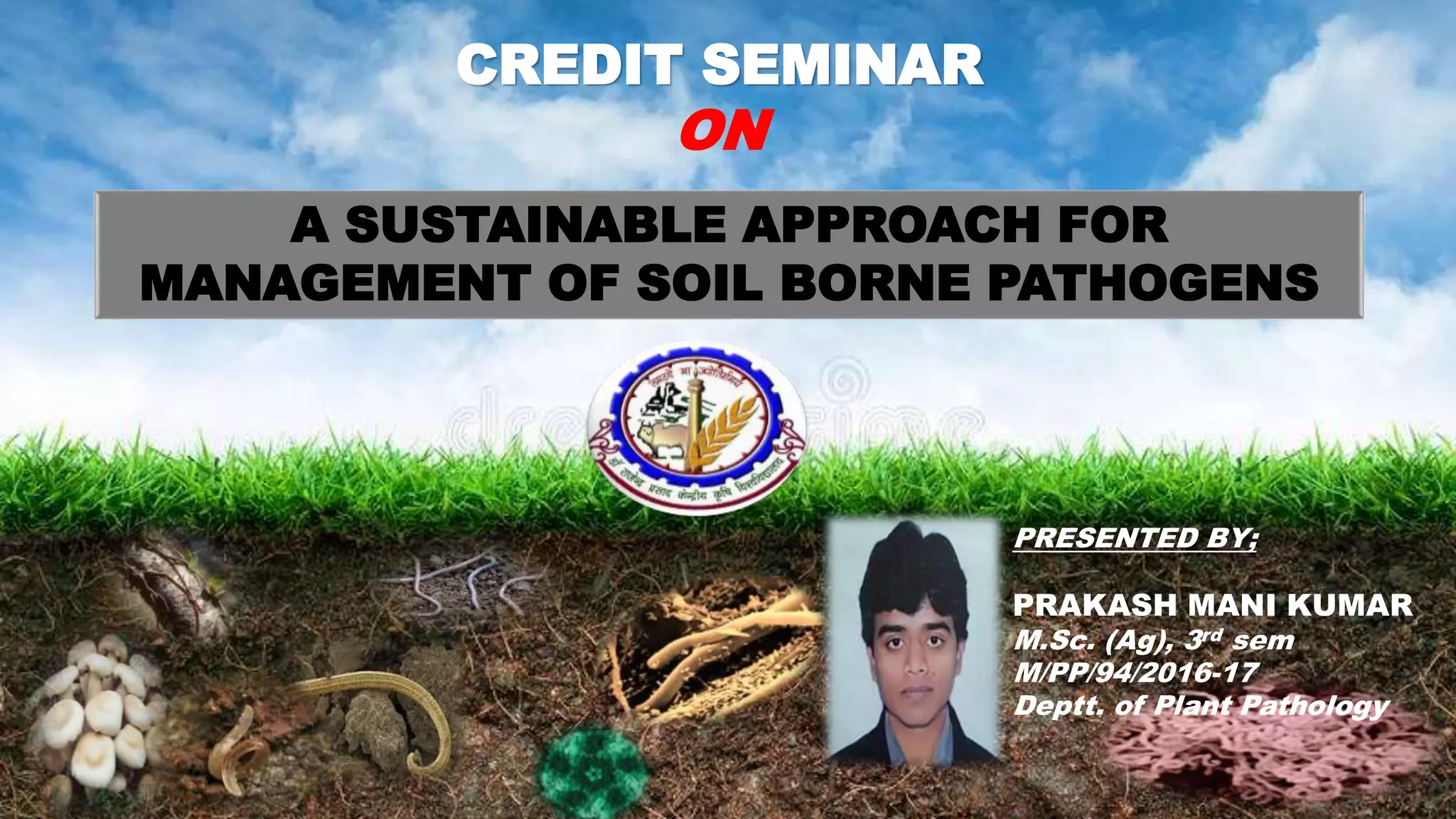 A SUSTAINABLE APPROACH FOR MANAGEMENT OF SOIL BORNE PATHOGENS | PPT