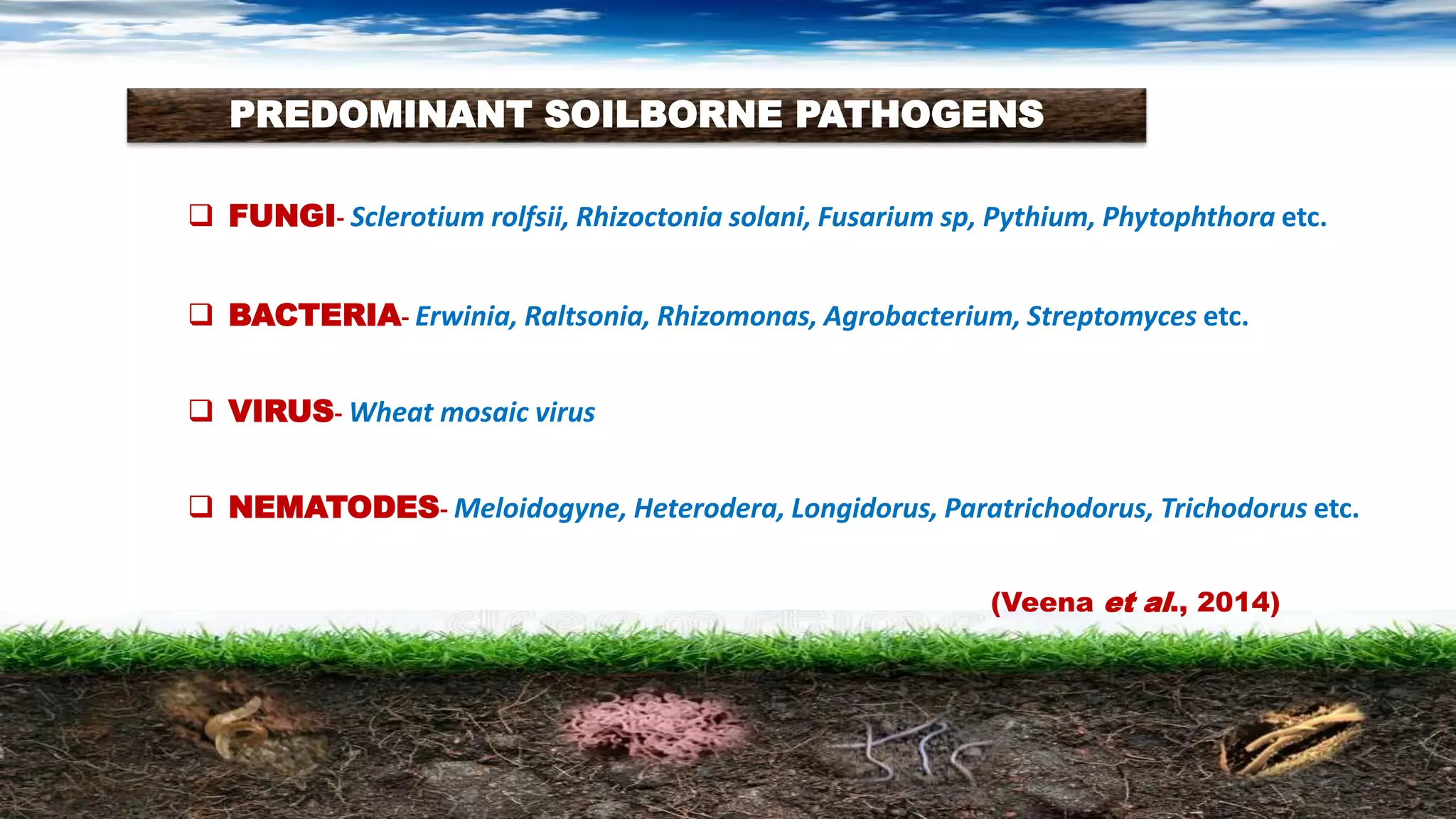 A SUSTAINABLE APPROACH FOR MANAGEMENT OF SOIL BORNE PATHOGENS | PPTX