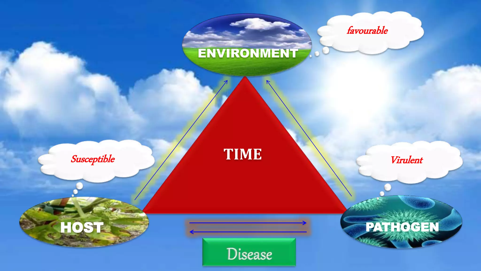 A SUSTAINABLE APPROACH FOR MANAGEMENT OF SOIL BORNE PATHOGENS | PPTX