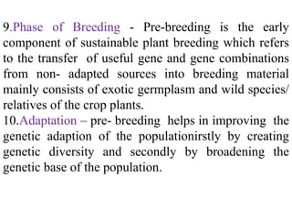 Credit seminar Pre Breeding.pptx
