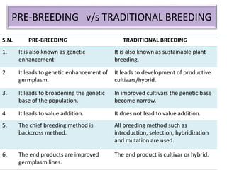 Credit seminar Pre Breeding.pptx