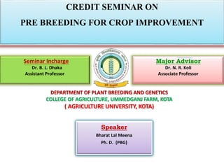 Credit seminar Pre Breeding.pptx