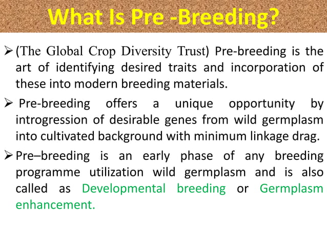 Credit seminar Pre Breeding.pptx