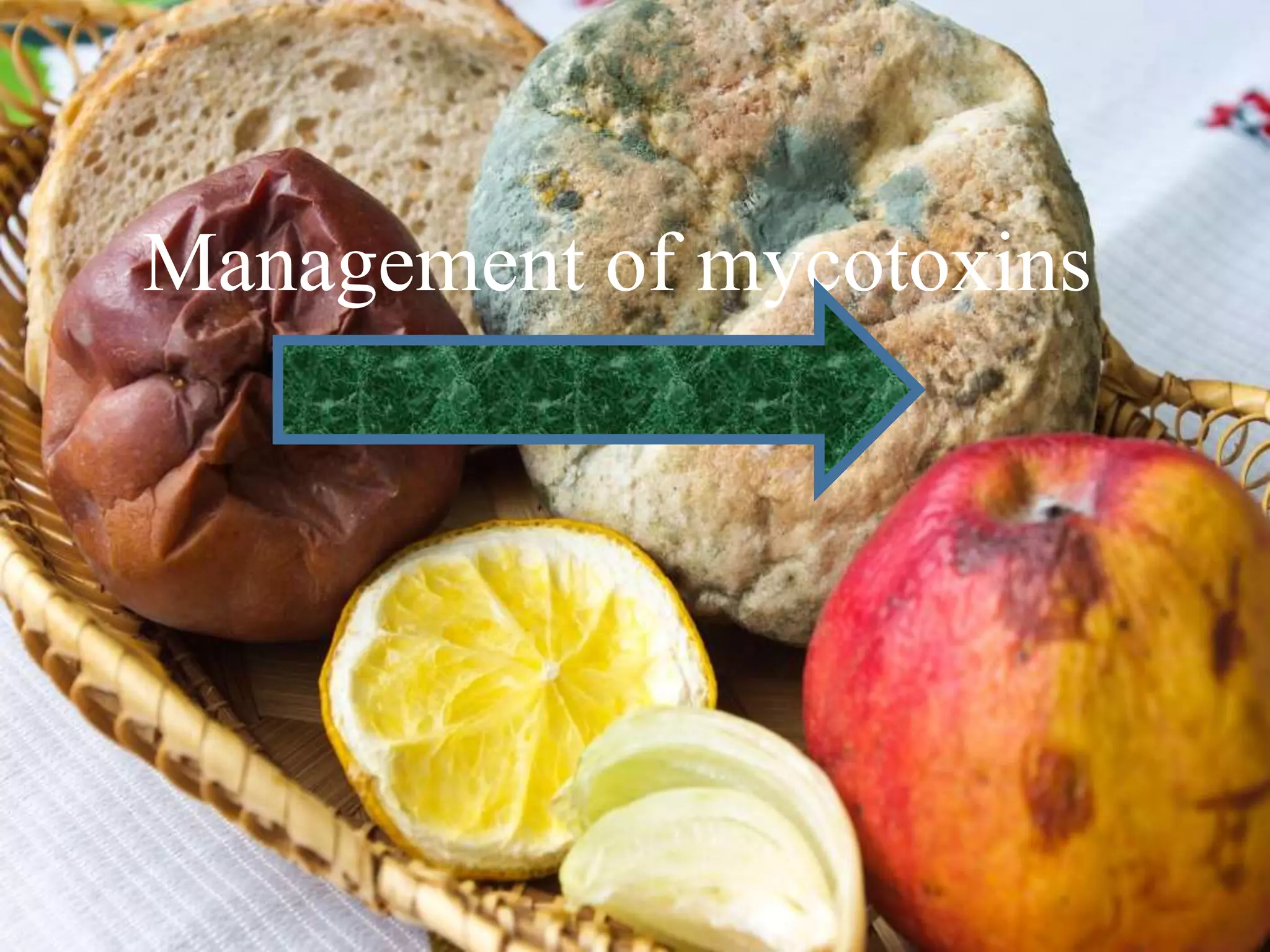 Mycotoxin Contamination In Food Crops And Its Management Pptx Digestive Disorders Diseases