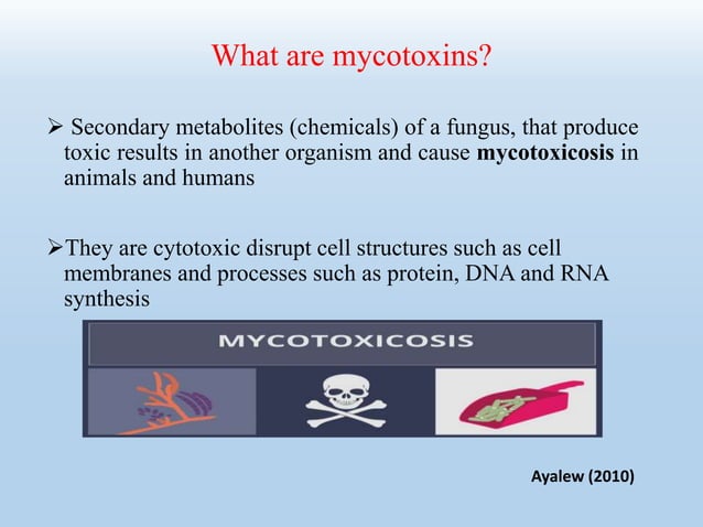 Mycotoxin contamination in food crops and its management | PPTX ...