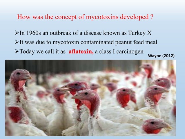 Mycotoxin contamination in food crops and its management | PPTX ...