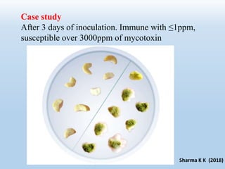Mycotoxin contamination in food crops and its management | PPTX