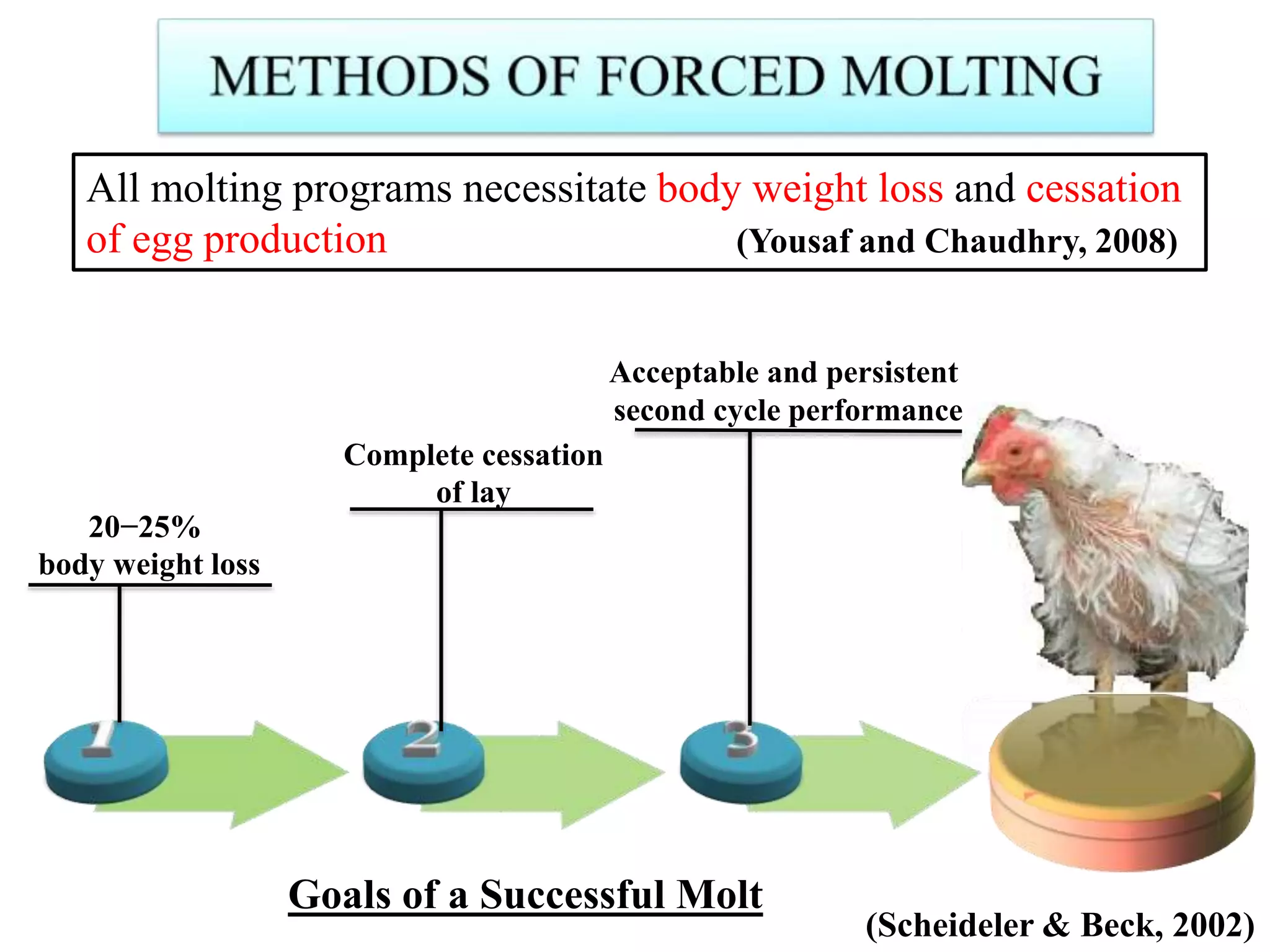 NUTRITIONAL STRATEGIES FOR FORCED MOLTING IN LAYING HENS | PPTX