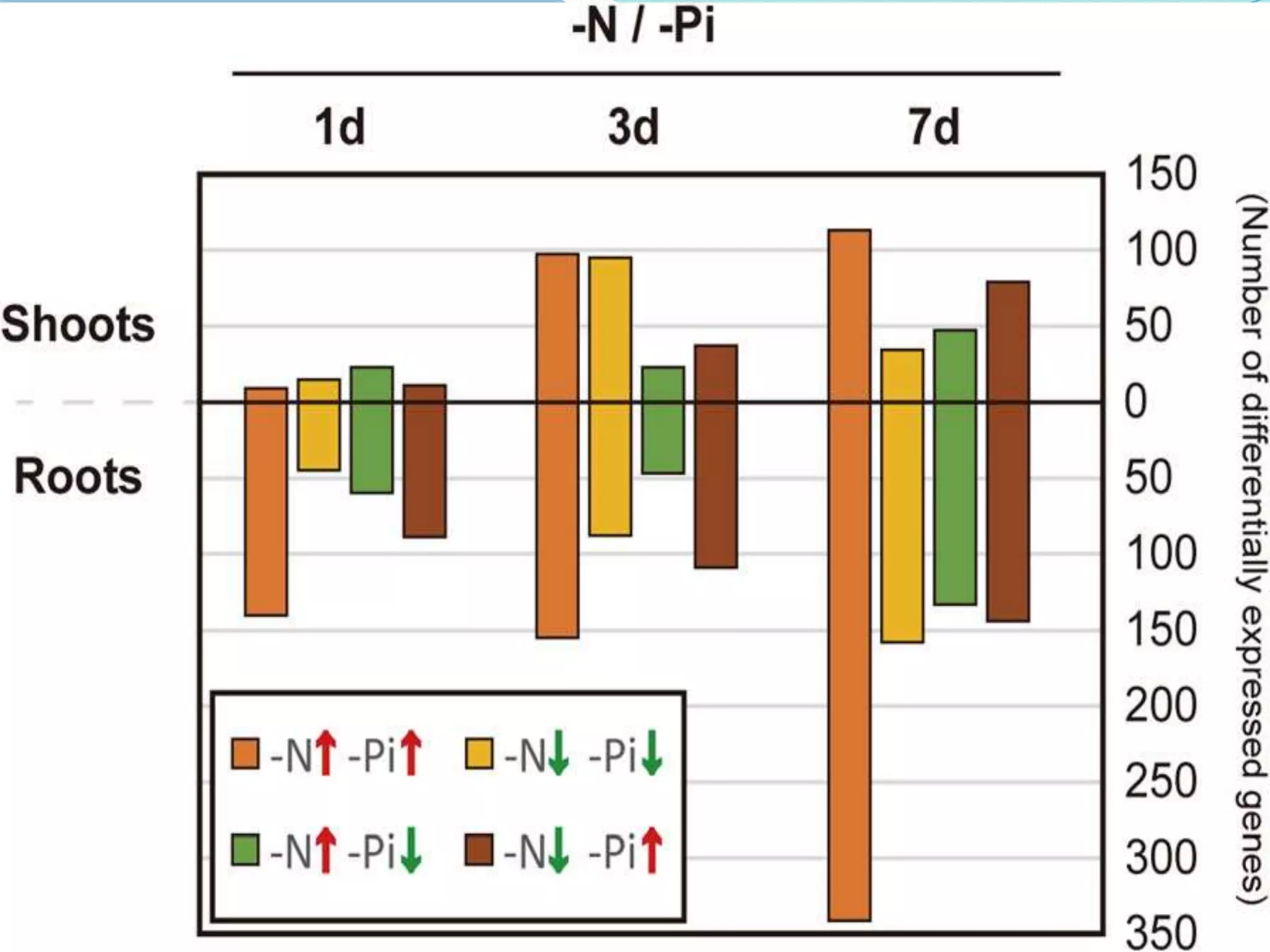 Transcriptomics: A time efficient tool for crop improvement | PPTX