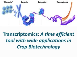 Transcriptomics: A time efficient tool for crop improvement | PPTX