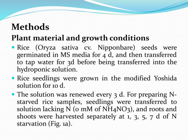 Transcriptomics: A time efficient tool for crop improvement | PPTX ...