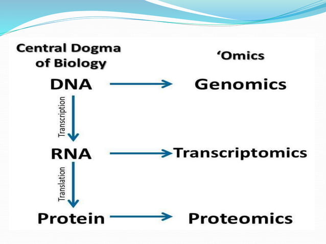 Transcriptomics: A time efficient tool for crop improvement | PPTX ...