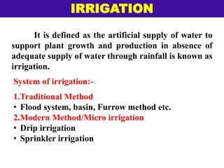 Water Management in Fruit Crops | PPT