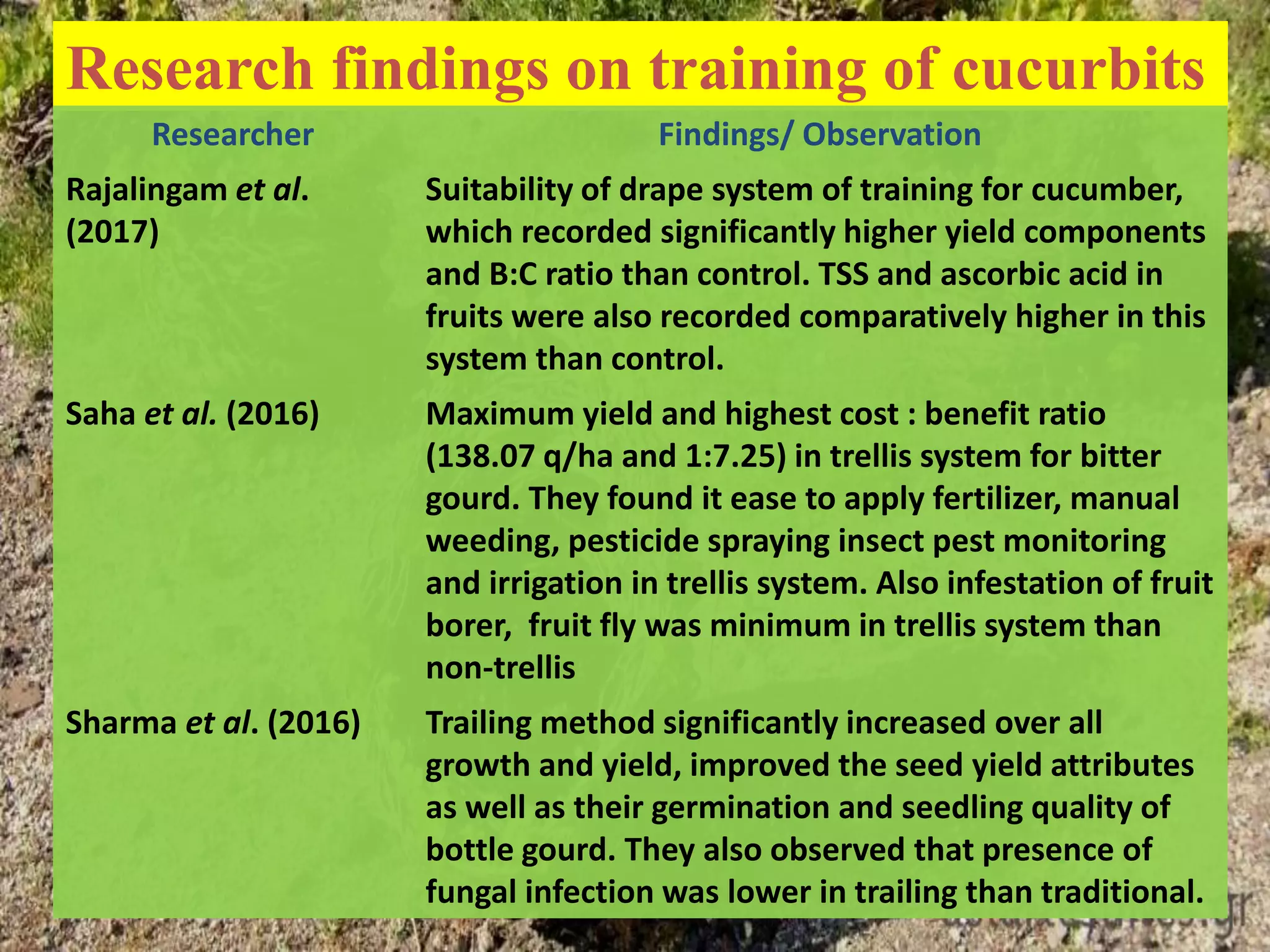 training and pruning methods of cucurbits | PPTX