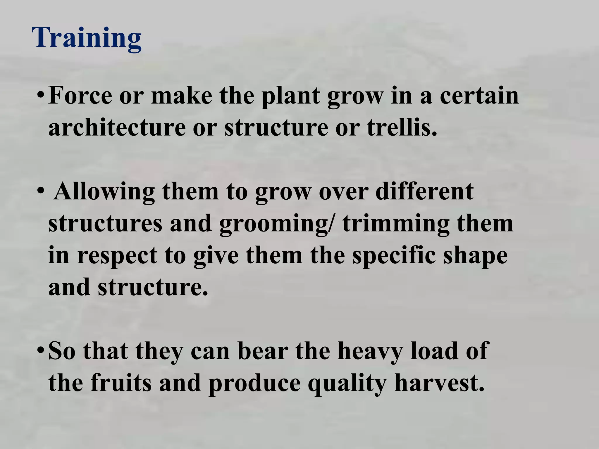 training and pruning methods of cucurbits | PPTX