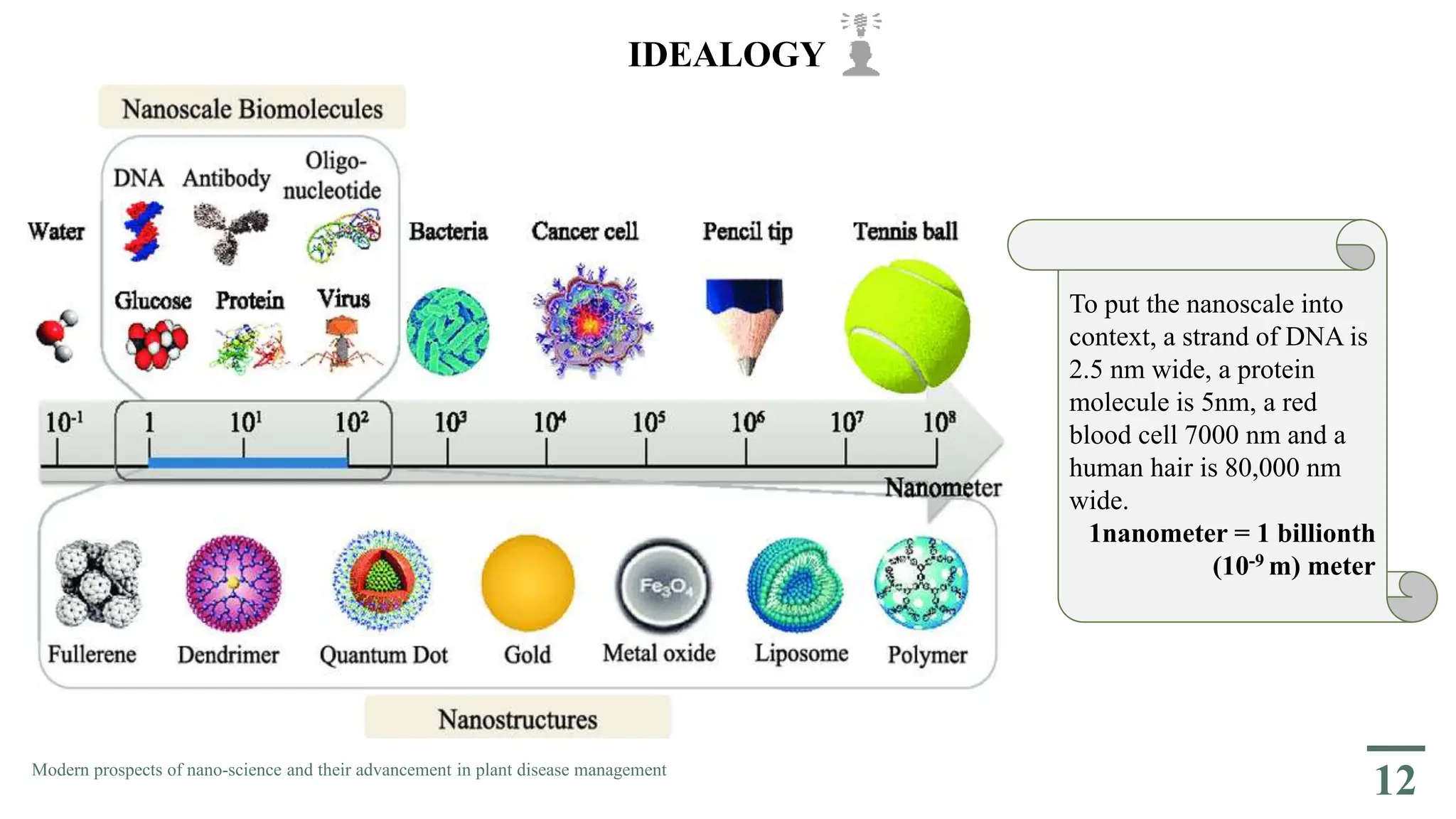 Modern Prospects of Nano science and their advancement in plant disease ...