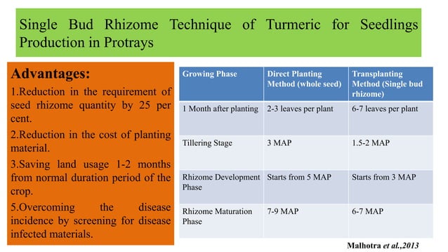 SPICE CROPS: Production, Breeding & Biotechnological Techniques for ...