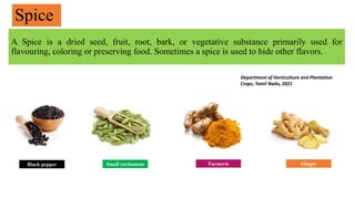 SPICE CROPS: Production, Breeding & Biotechnological Techniques for ...