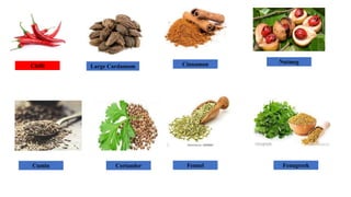 SPICE CROPS: Production, Breeding & Biotechnological Techniques for ...