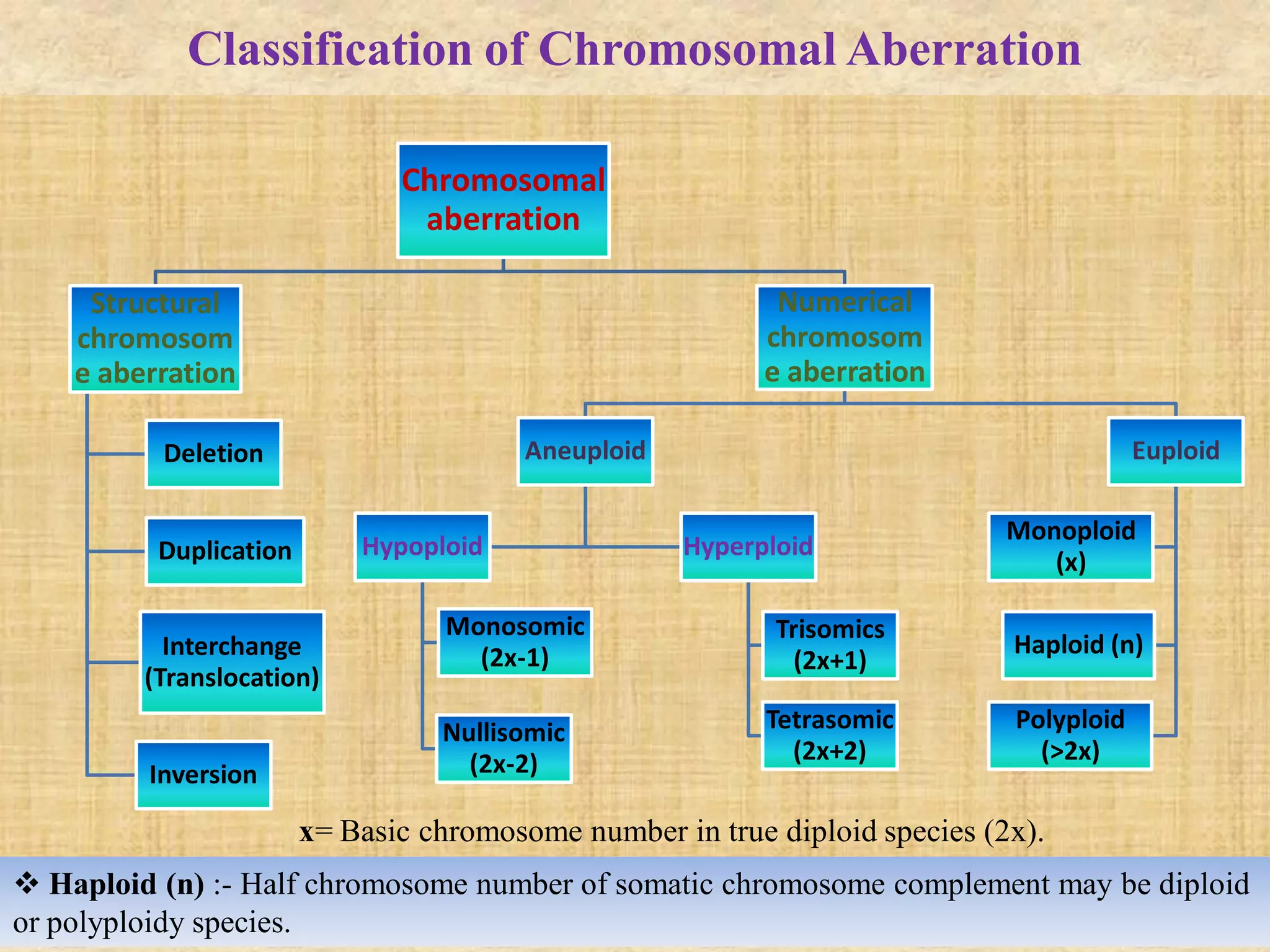 monosomics and their role in cytogenetics | PDF