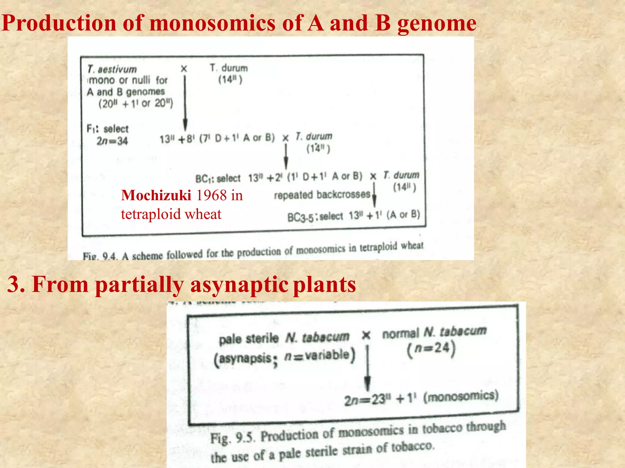 monosomics and their role in cytogenetics | PDF