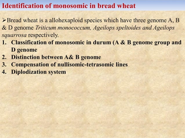 monosomics and their role in cytogenetics | PDF | Genetics | Science