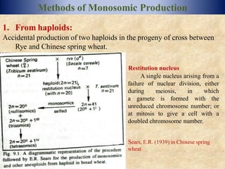 monosomics and their role in cytogenetics | PDF