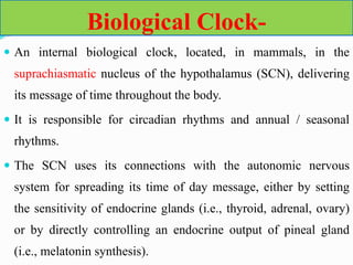 chronopharmacology credit seminar by Pankaj.N.Kapgate | PPTX