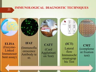 DIAGNOSTIC ADVANCES IN HAEMOPROTOZOAN INFECTIONS OF LIVESTOCK | PPTX