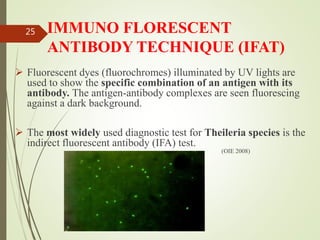 DIAGNOSTIC ADVANCES IN HAEMOPROTOZOAN INFECTIONS OF LIVESTOCK | PPTX