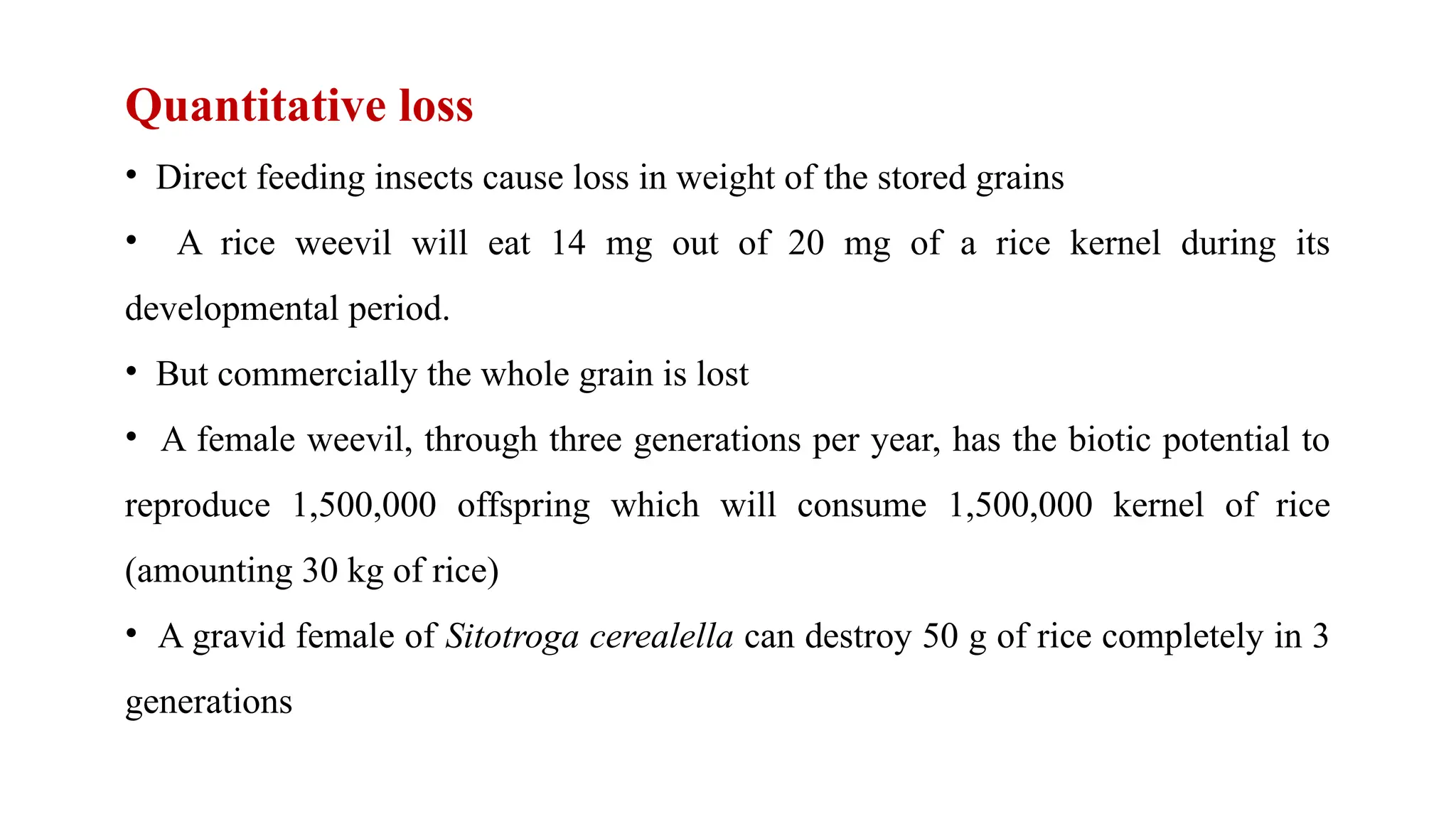 Efficacy of Different Botanical insecticides on Major Storage pests of ...