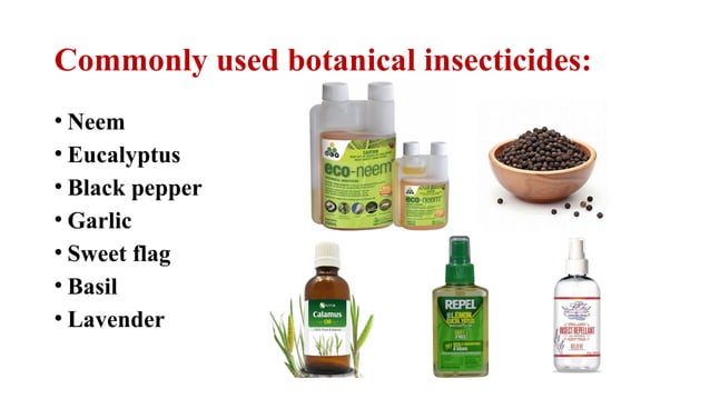 Efficacy of Different Botanical insecticides on Major Storage pests of ...