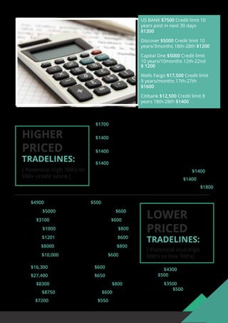 Credit tradeline | PDF