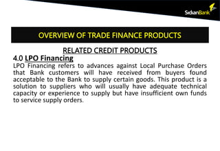 CREDIT TRAINING - APPROVER'S PERSPECTIVE 2024.ppt | Personal Loans ...