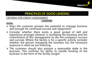 CREDIT TRAINING - APPROVER'S PERSPECTIVE 2024.ppt | Personal Loans ...