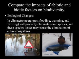 Piedmont: A NC Biome | ODP | Geography | Science