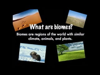 Piedmont: A NC Biome | PPT | Free Download