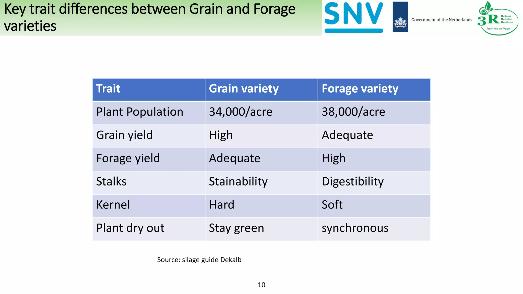 Maize silage from seed to feed in Kenya (opportunities and challenges ...