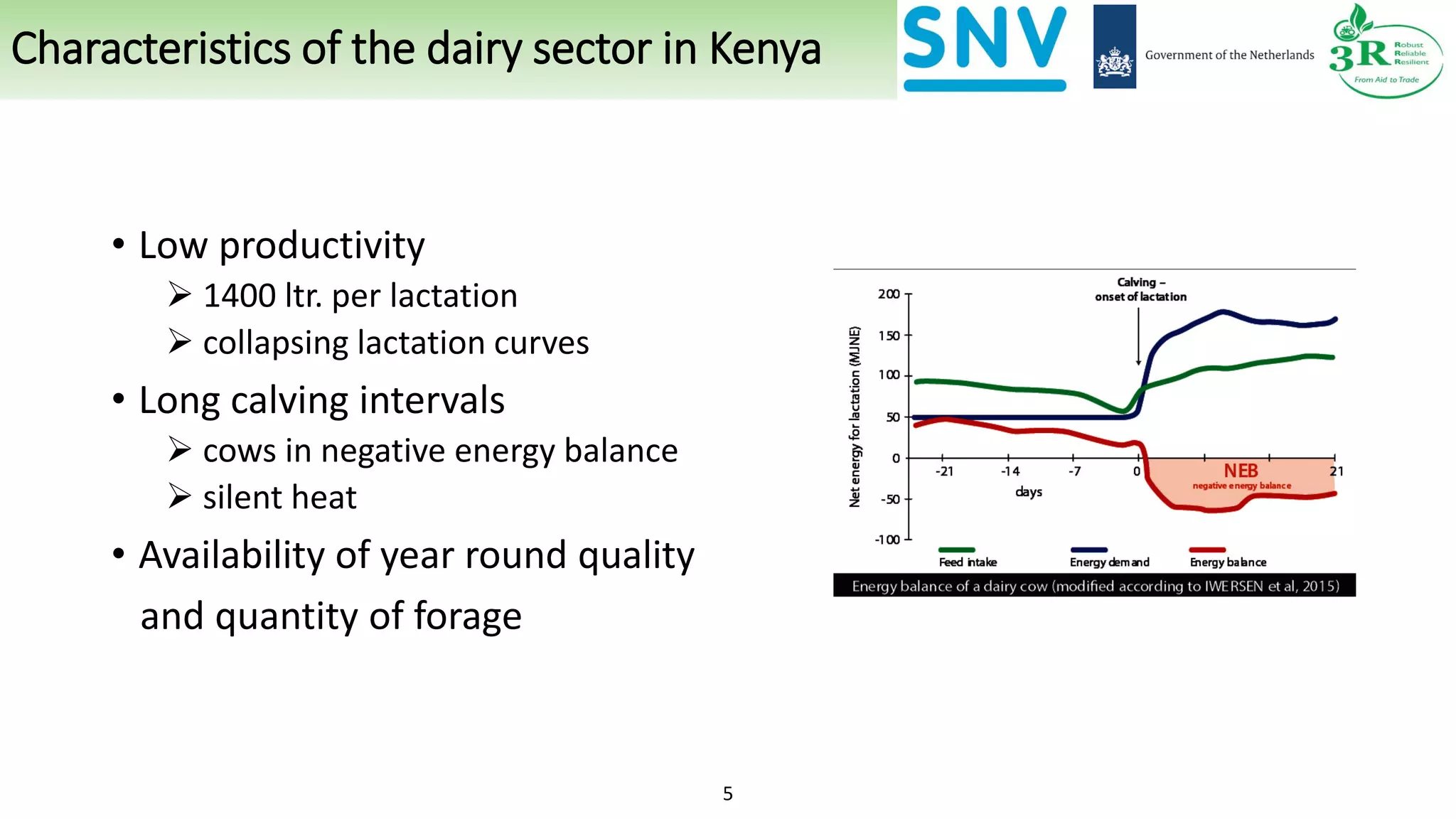 Maize silage from seed to feed in Kenya (opportunities and challenges ...