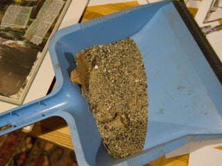 Creeping Normality - Huge Snow Pile Lingers Late Into Spring | PPT