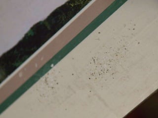 Creeping Normality - Huge Snow Pile Lingers Late Into Spring | PPT