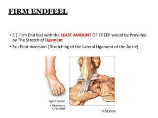 Creep Phenomenon By Firu | PPT