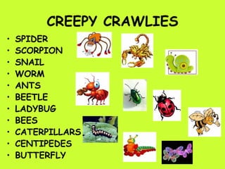 Creepy Crawlies Final Version | PPT