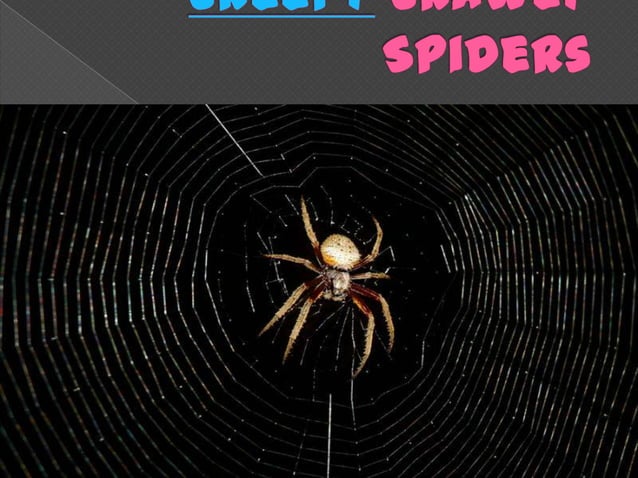 Creepy crawly spiders | PPT