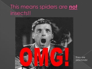 Creepy crawly spiders | PPT