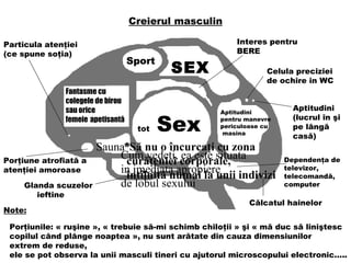 Cum functioneaza creierul uman? | PPT